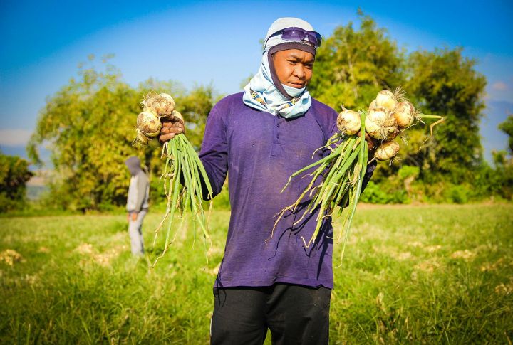 10 Hard-To-Grow Veggies That Challenge Home Gardeners