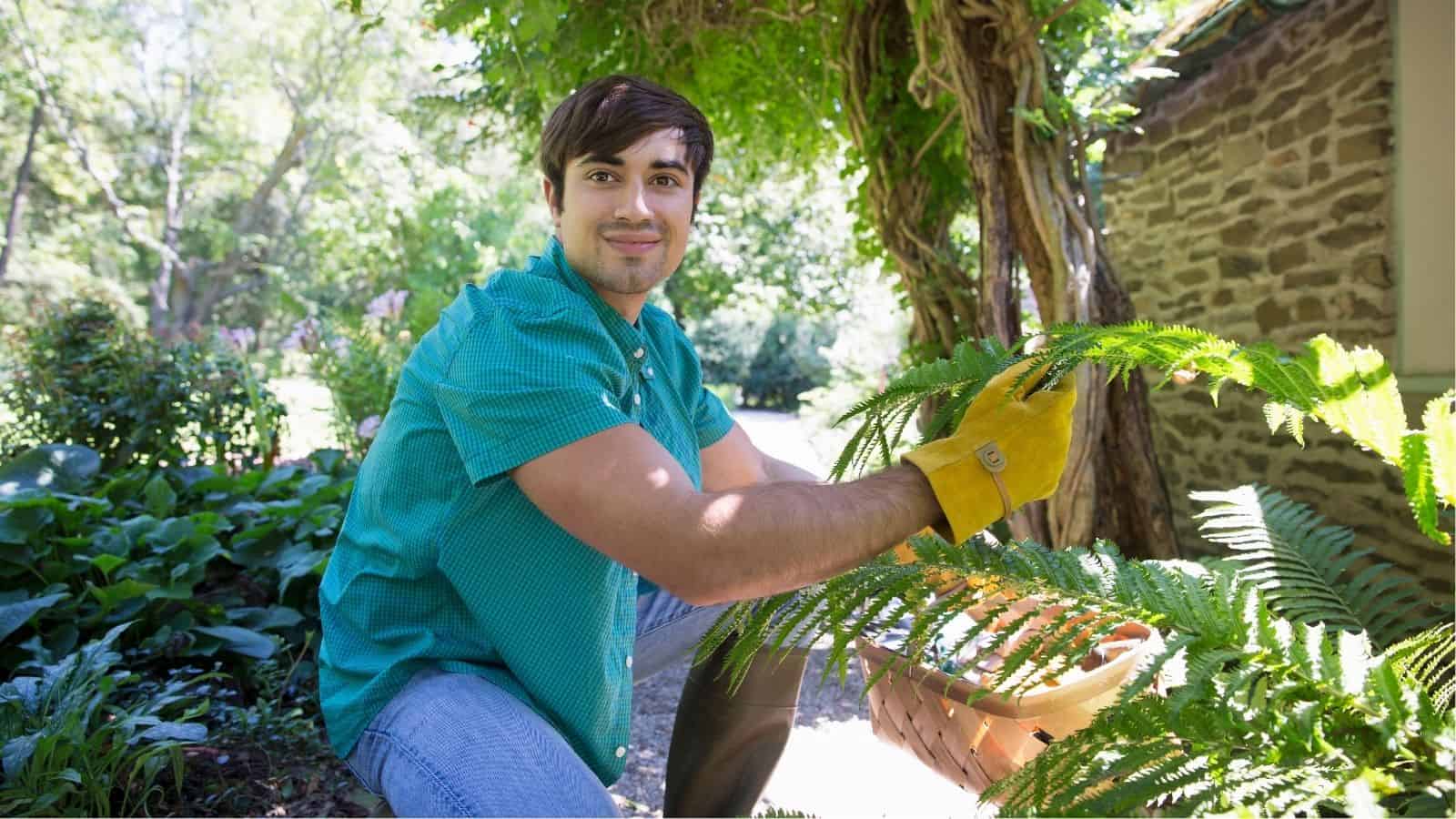 11 Unexpected Plants That Deserve a Spot in Your Garden