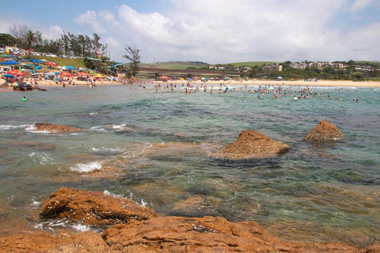 Sardine run: 25 KZN beaches currently closed for swimming
