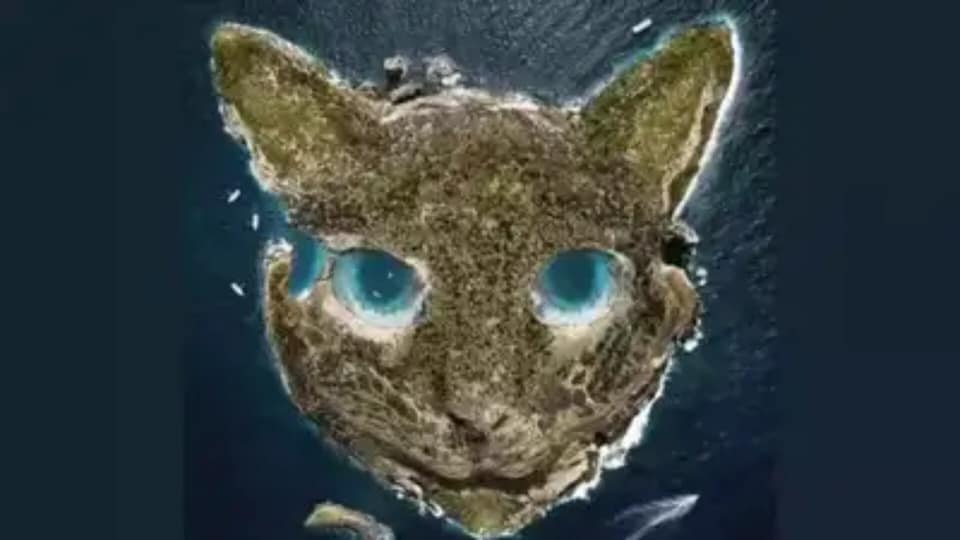 What you spot first in this optical illusion reveals how you cope under ...