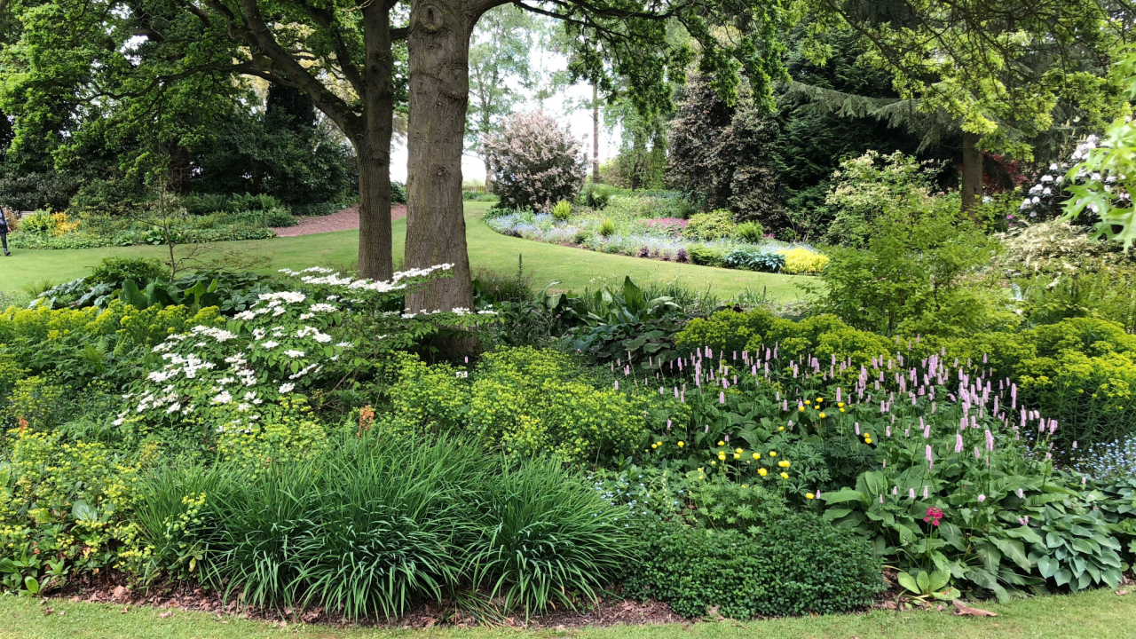 All the Best Shade Perennials For Low Light Gardens