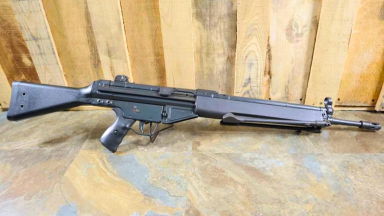 Rifles That Eat Ammo and Give You Grief