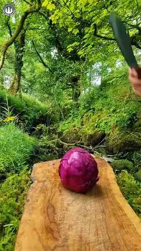 Wait to hear the CRUNCH on this spring rolls 😱