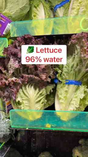 Most Hydrating Foods of All Time Nature’s Best for Daily Replenishment