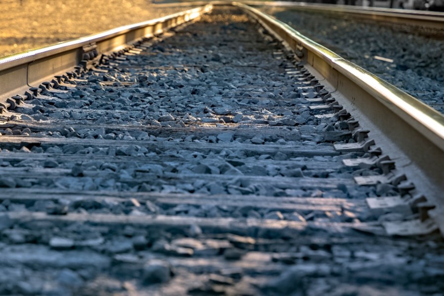 Woman killed by train while trying to save dog from New Hampshire ...