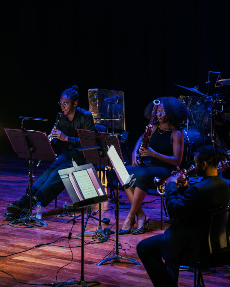 Chineke! Orchestra: A Fiddler's Tale at Queen Elizabeth Hall review