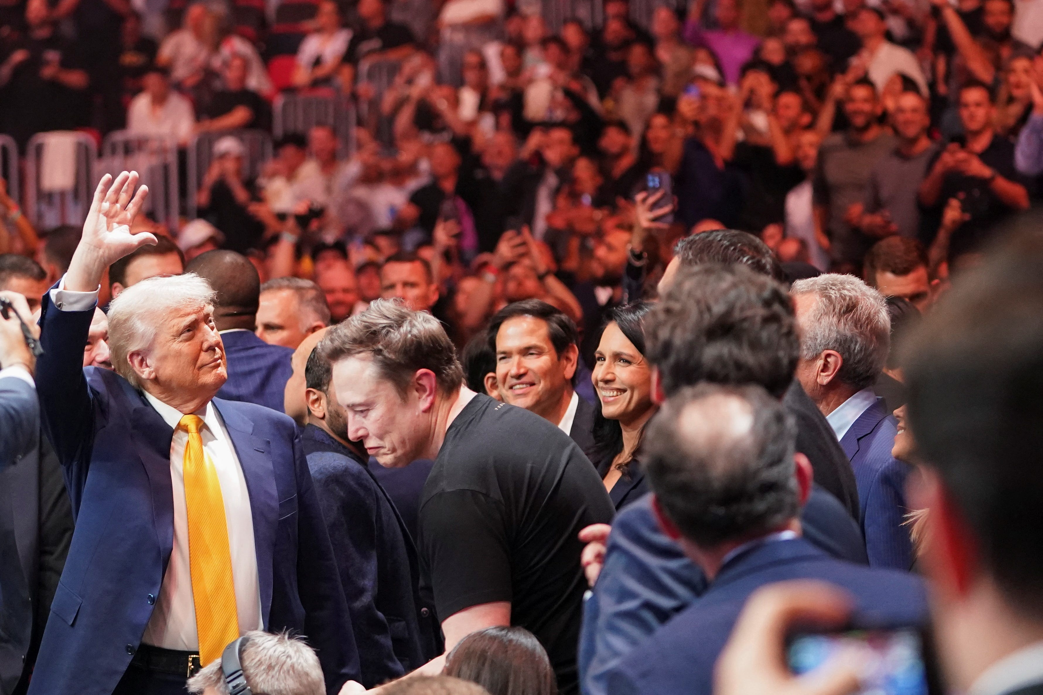 President Trump set to attend UFC 316 in New Jersey this weekend