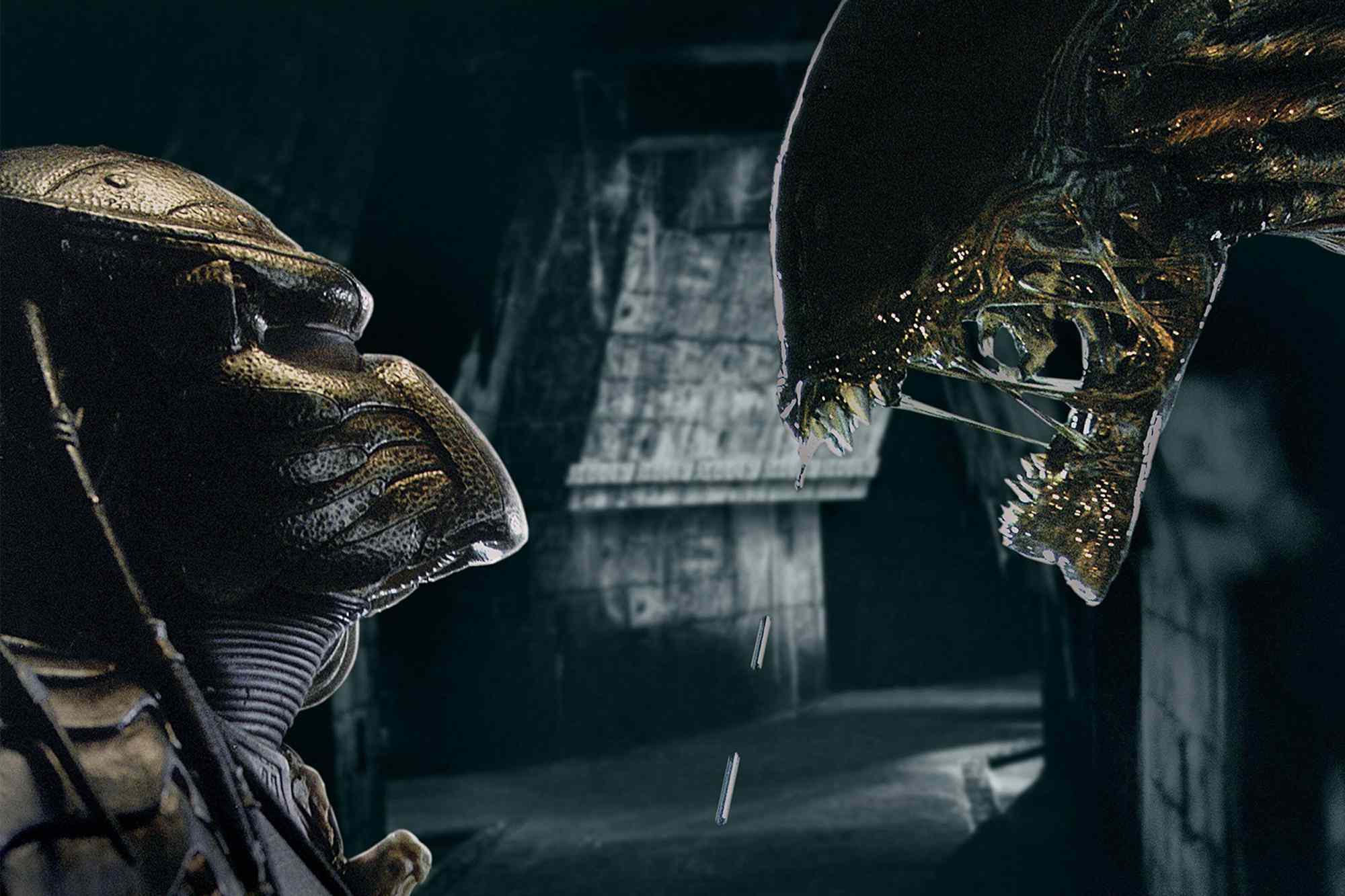 How to Watch All the “Predator” Movies in Order — Including Where ...