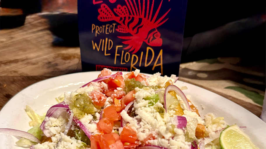 Destin’s Lionfish Festival balances culinary creativity with education
