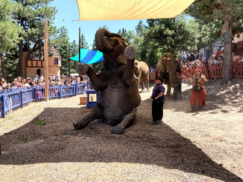 Colorado Renaissance Festival ‘working with the state’ for 2025 ...