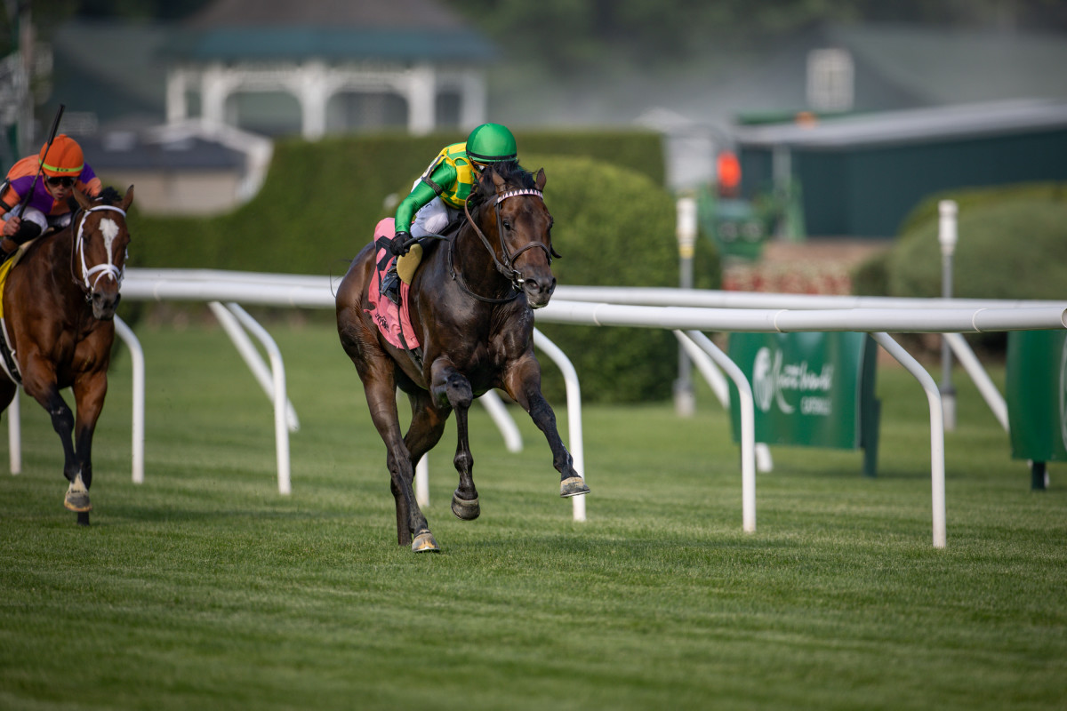 Donegal Momentum Eyes Graded Double In Kelso