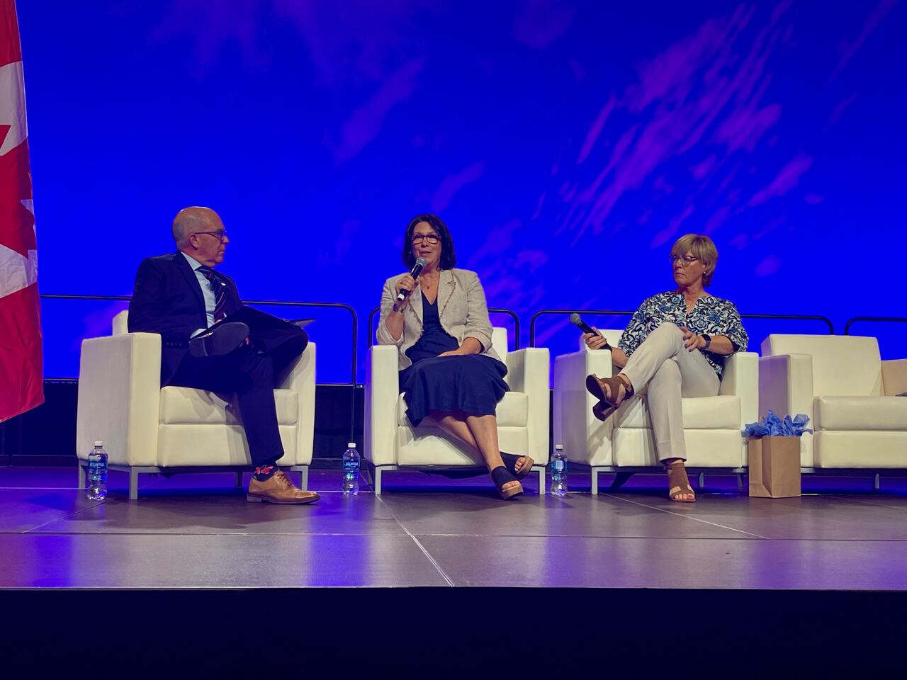 Health authority interim CEO calls for further integration of AI into health care