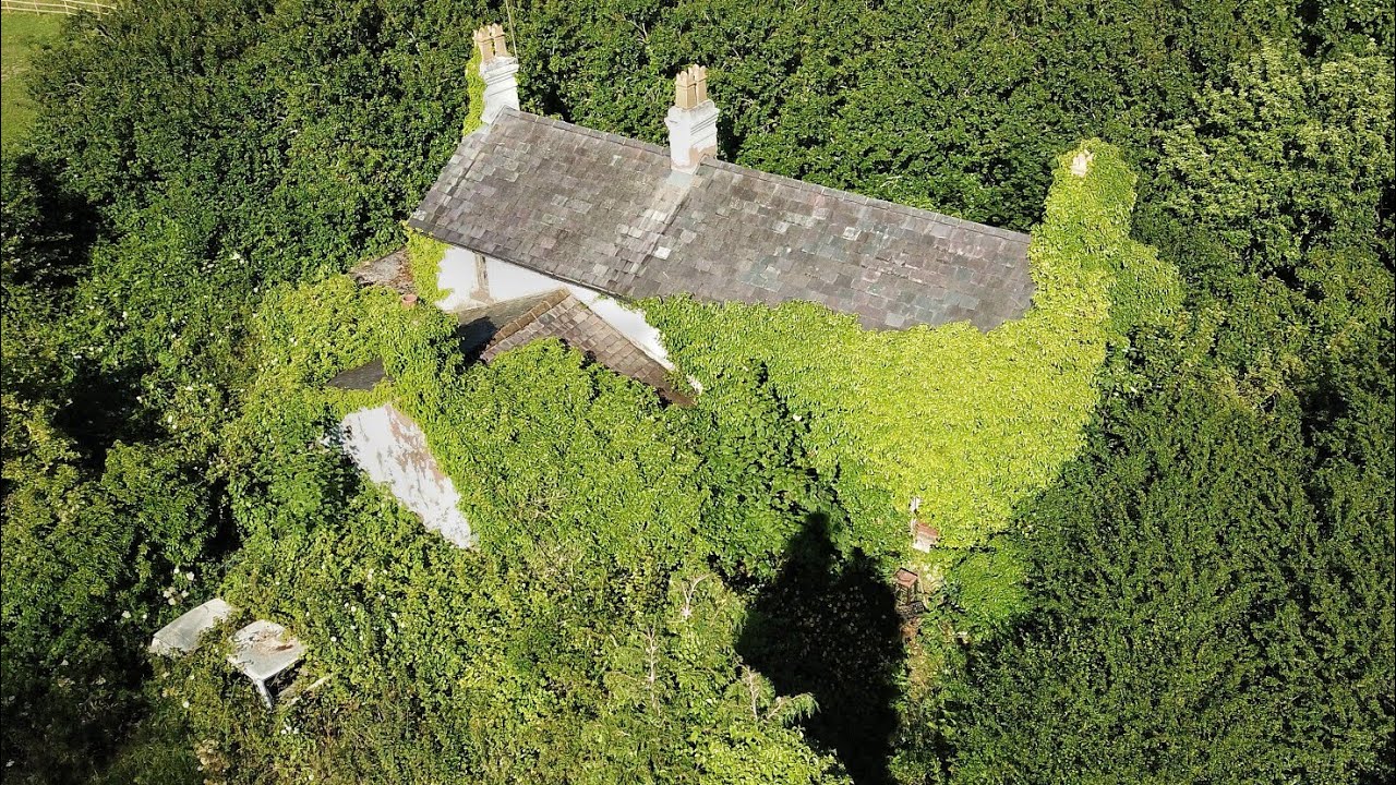 This Abandoned House Belongs to Mother Nature Now | Why did she vanish ...