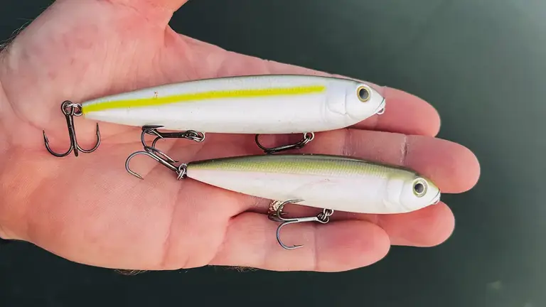 What Baits We're Throwing in June