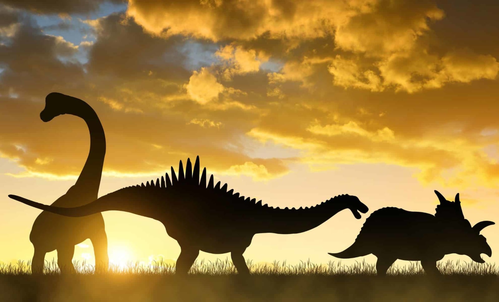 The Smallest Dinosaur Ever Discovered Was Just…