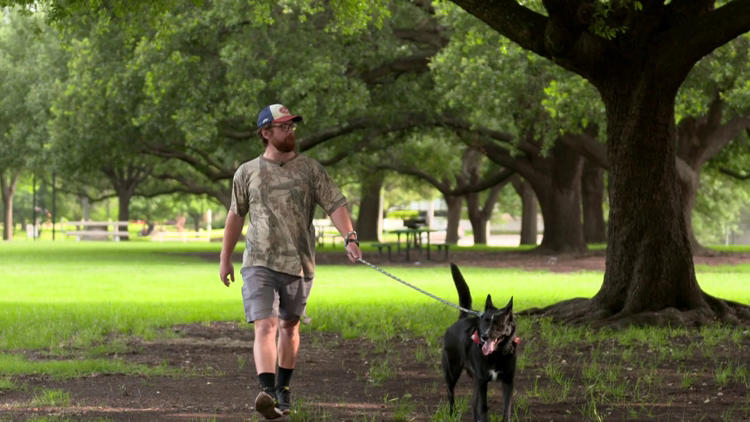 A Vietnam veteran passed away, then his mailman adopted his dog