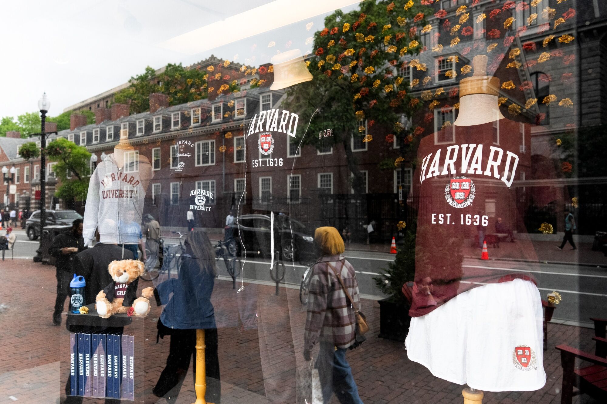 Harvard Gets Other Universities’ Backing in Trump Funding Fight