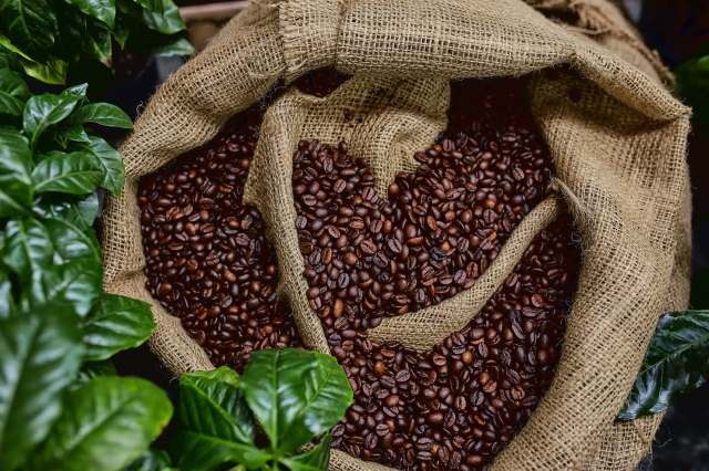 Farmers make remarkable breakthrough that could revolutionize coffee ...