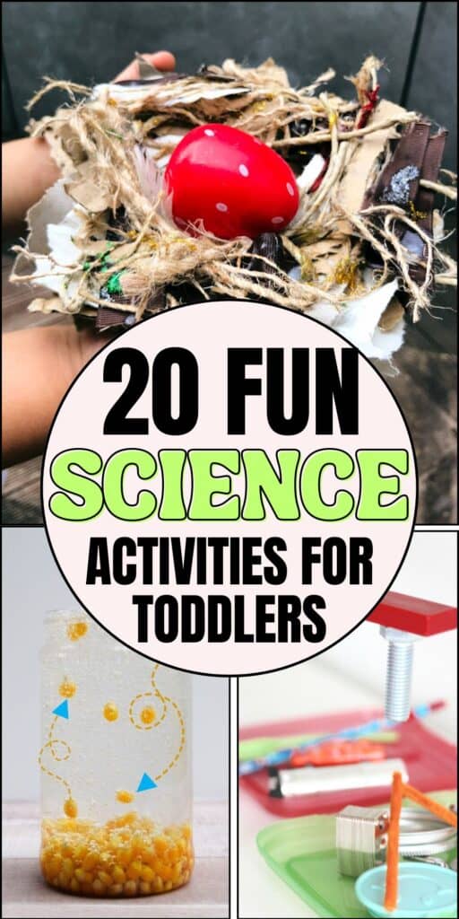 20 Fun and Engaging Science Activities for Toddlers