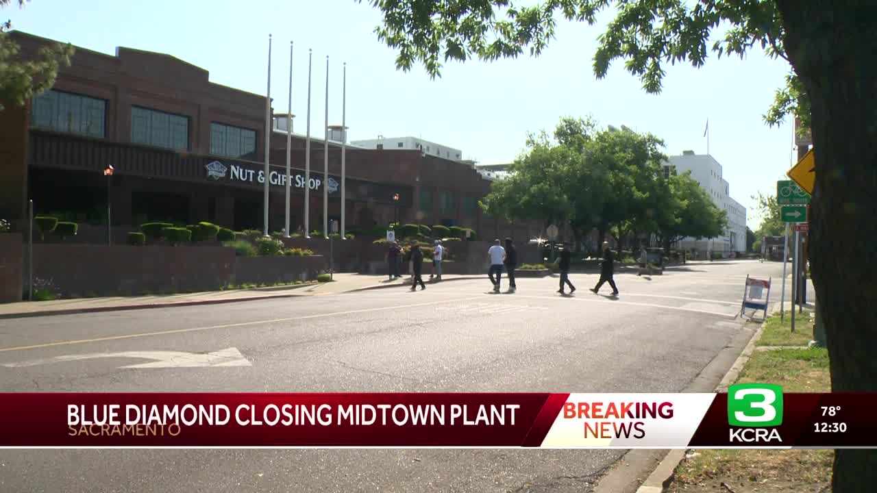 Hundreds to lose their jobs as Sacramento Blue Diamond almond plant ...