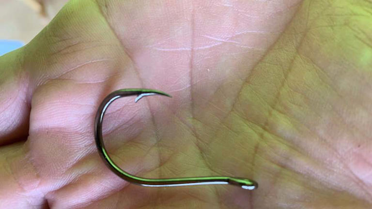 How to Unhook Fish Safely: Tips for Catch and Release Success