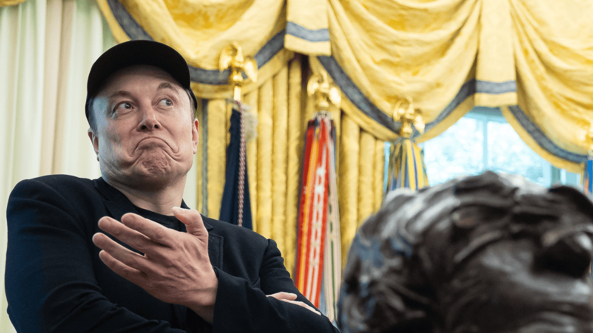 Elon Musk's legacy at DOGE: Access to millions of Social Security records