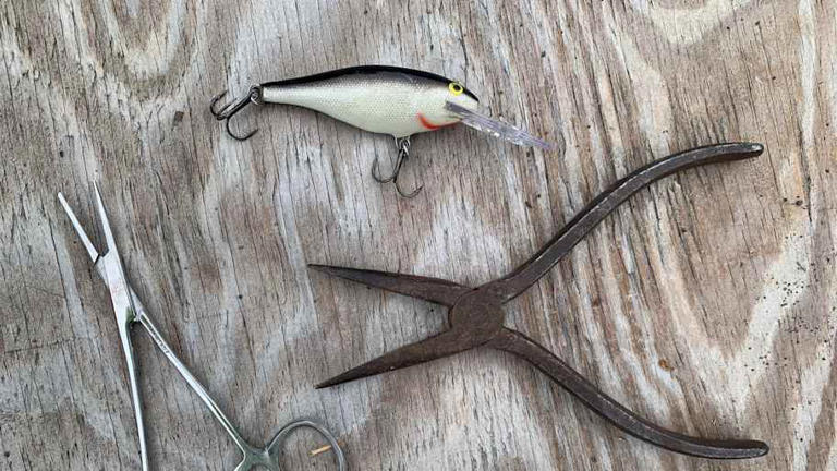 How to Unhook Fish Safely: Tips for Catch and Release Success