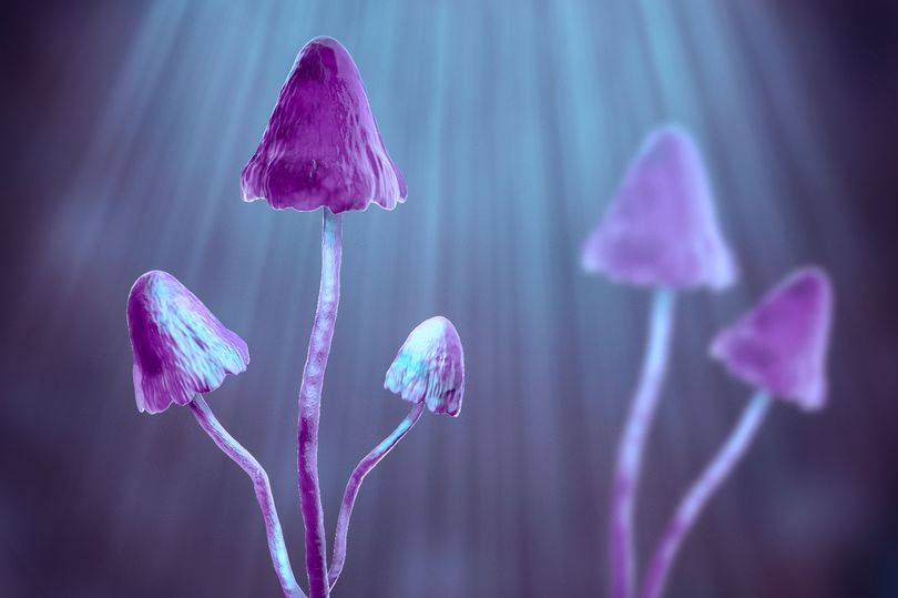 Psychedelic breakthrough exposes the secret behind LSD hallucinogenic ...