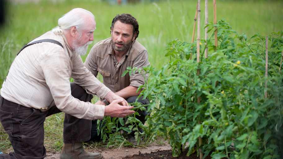 What was the final role of The Walking Dead's Scott Wilson, who ...