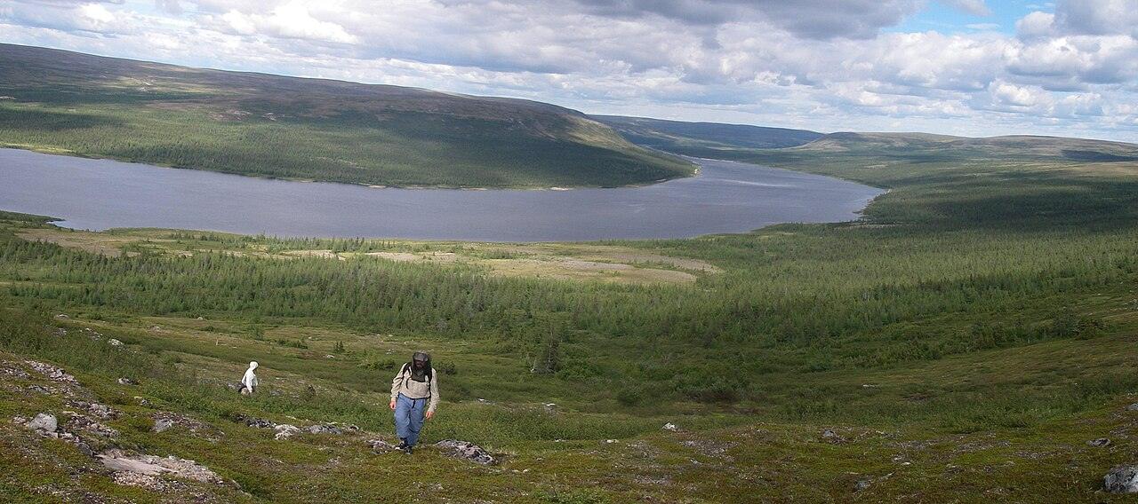 Canada’s Last Caribou Herds: 5 Secret Spots to Witness the Great Migration