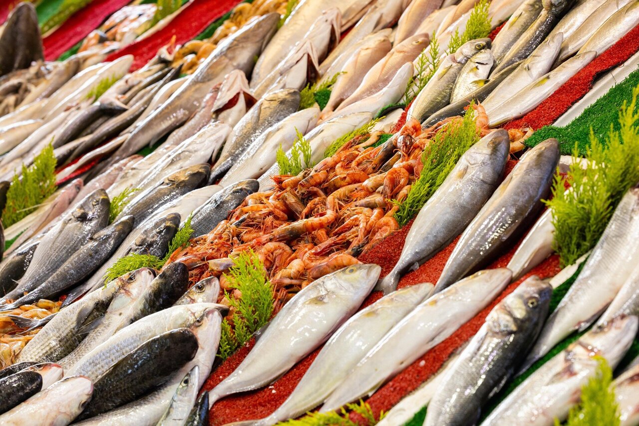 New study quantifies fish slaughter pain and cost-effectiveness of ...