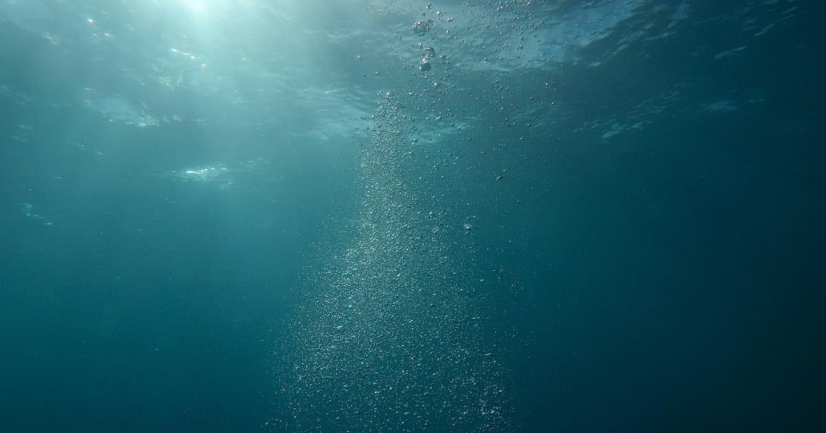 Researchers Dropped a Baited GoPro Into the Deep Ocean and Made a ...