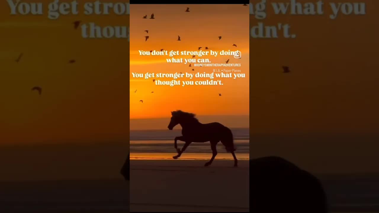 streamhorse: equine therapy & perseverance: rising stronger