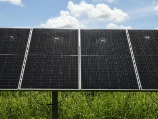 CNBC Editor Goes Nuclear On Guest Pushing Green Energy Handouts ...