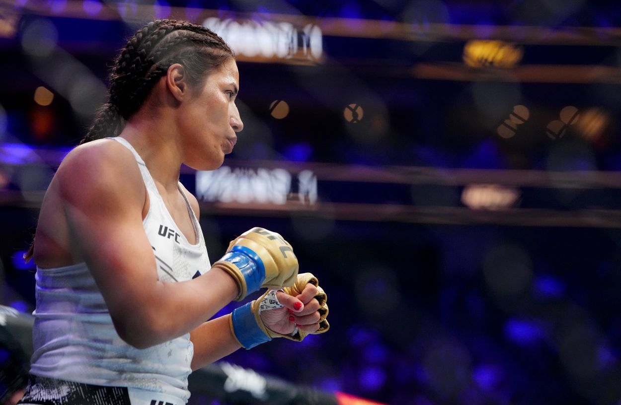 UFC 316 Co-Main Event Preview and Prediction: Julianna Pena – Kayla ...