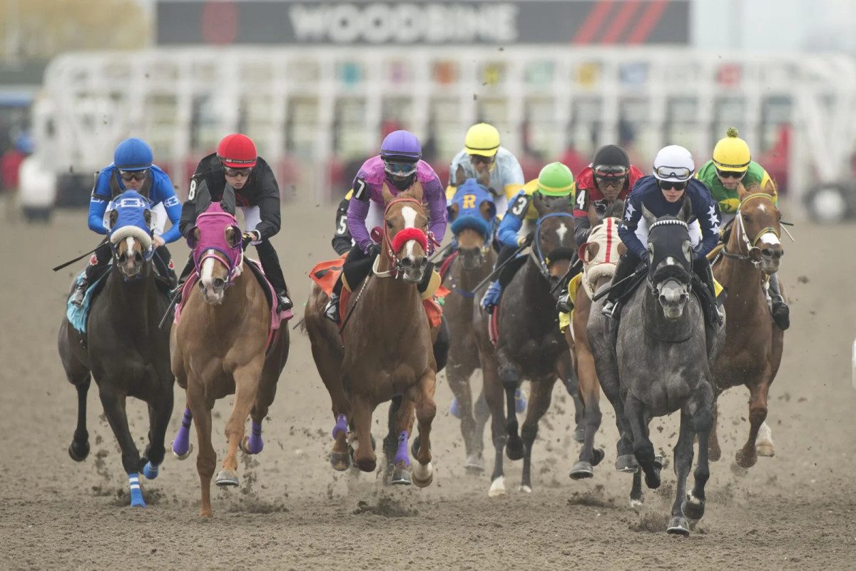 ‘For The Love Of The Horse Racing Community’: Woodbine Entertainment ...