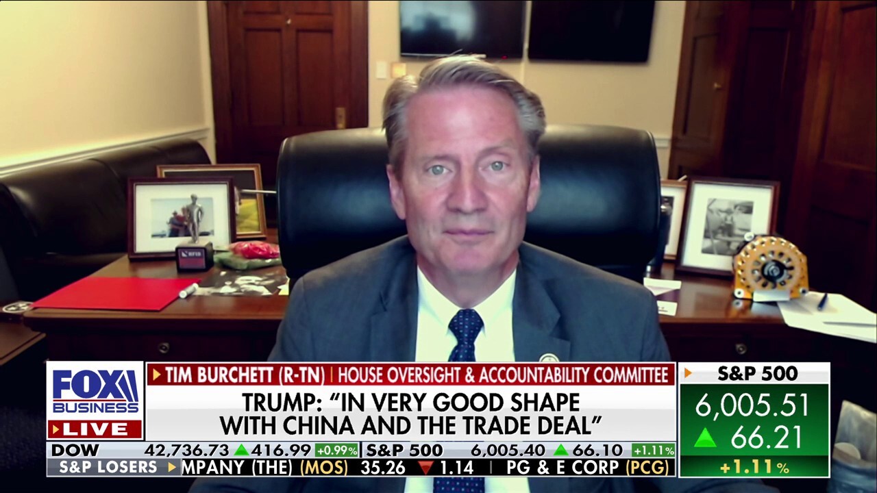 Republicans don't have the guts to codify DOGE cuts: Rep. Tim Burchett