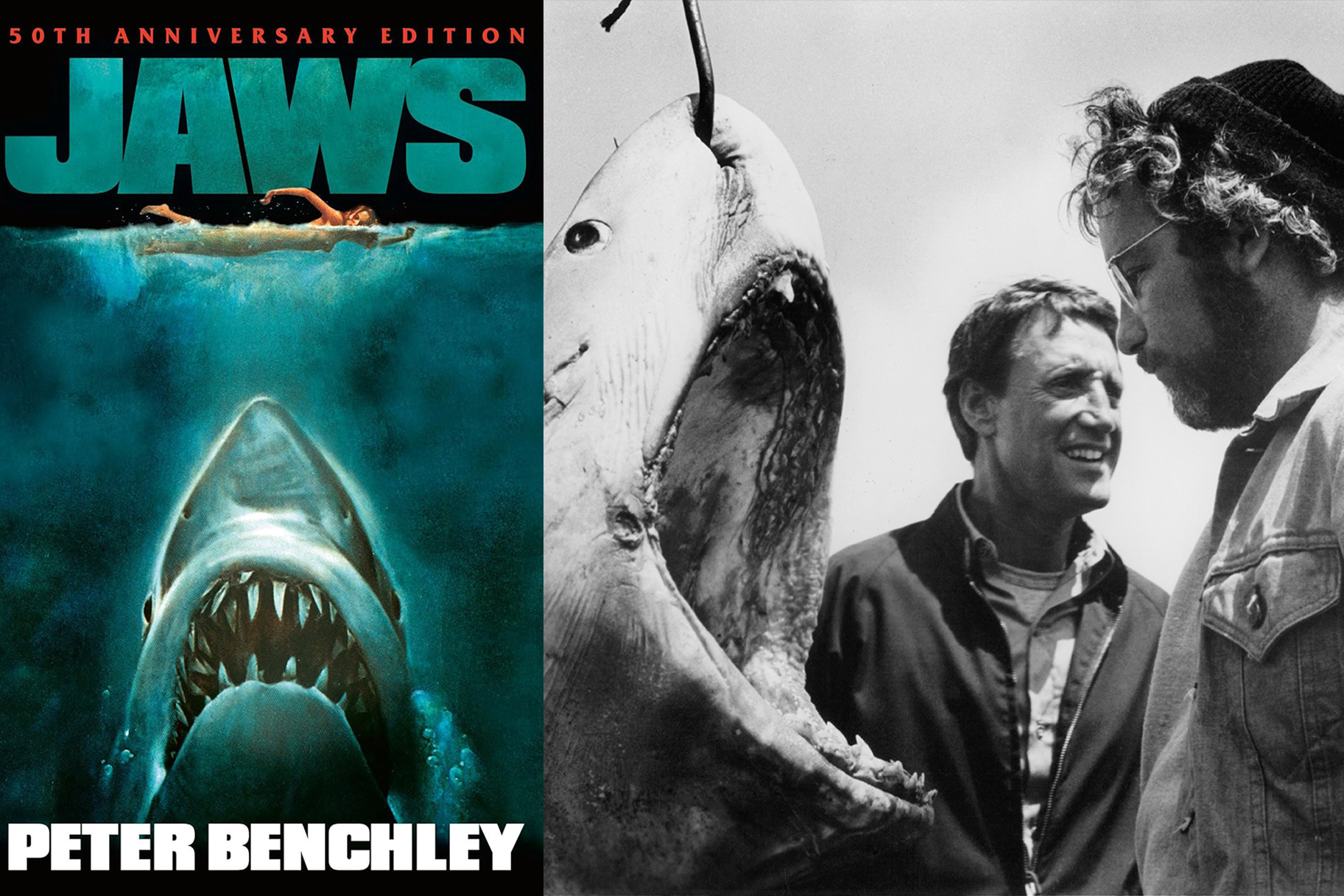 The Origin of Steven Spielberg's Jaws: From Newspaper Article to Novel ...