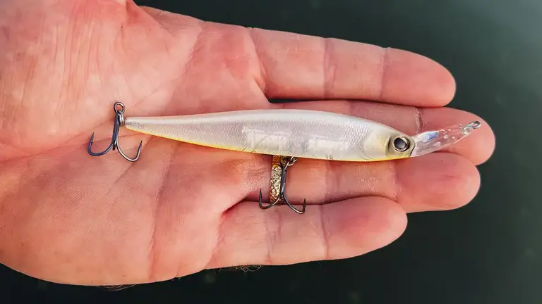 What Baits We're Throwing in June