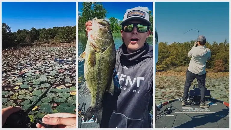What Baits We're Throwing in June