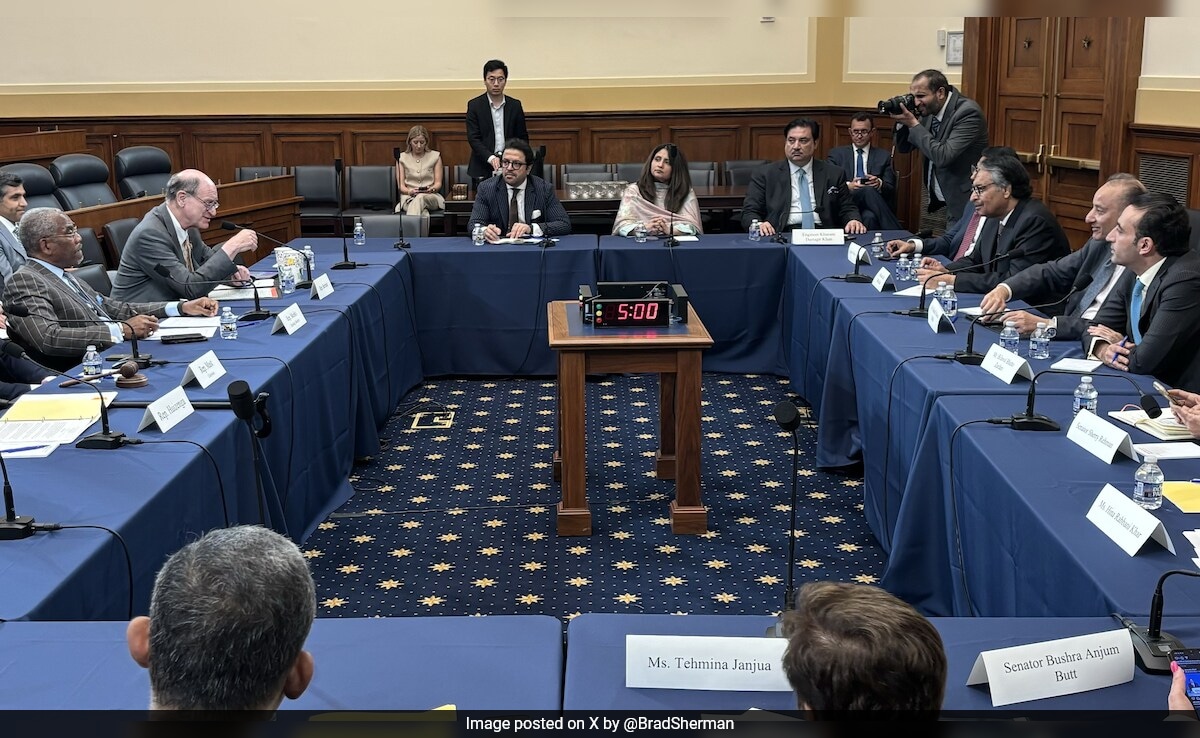 US Lawmaker Tells Pak Delegation To Eliminate "Vile" Terror Group Jaish ...