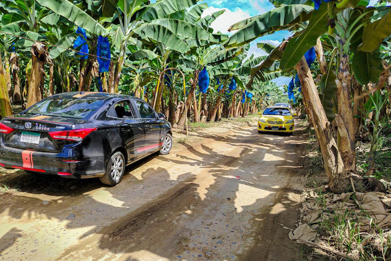 That's bananas! Why it might be harder or pricier to find some brands ...