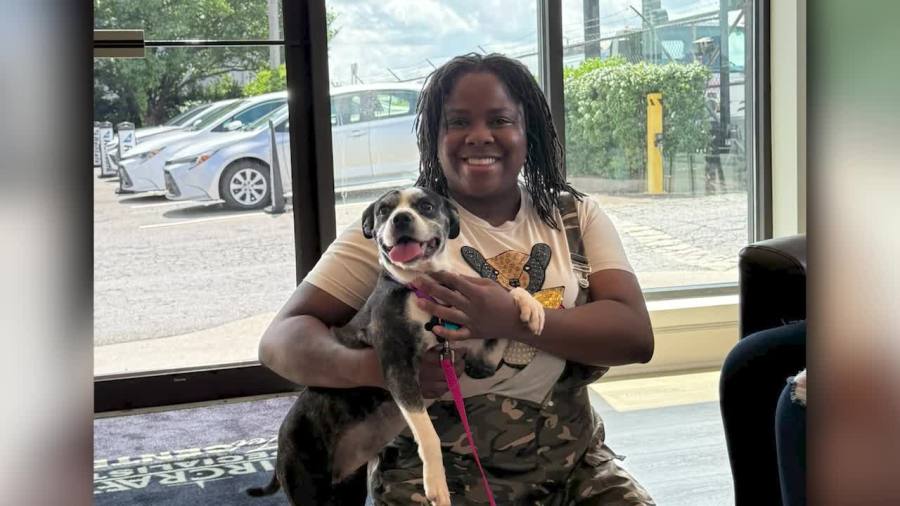 Owner reunited with lost dog after 6 years: ‘My heart was racing’