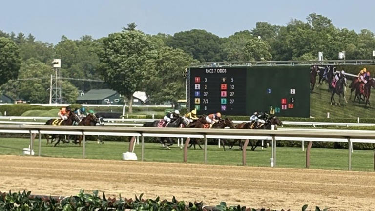 Only on CBS6: Dave Portnoy and Mike Francesa give their picks for the ...