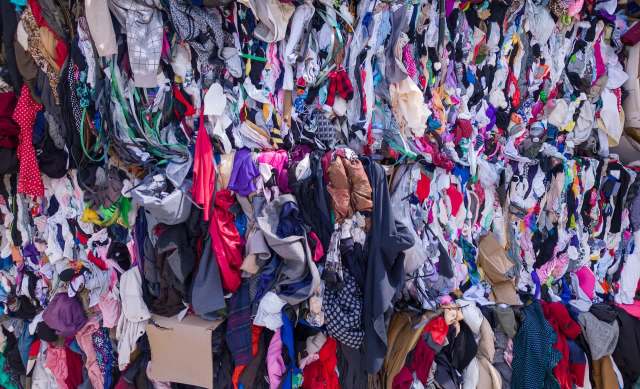 Shocking new report reveals damaging impacts of common fashion industry ...