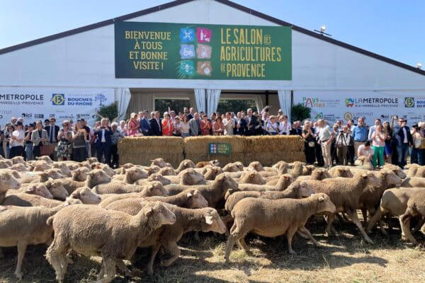 Animaux, producteurs locaux, animations… le Salon des Agricultures de ...