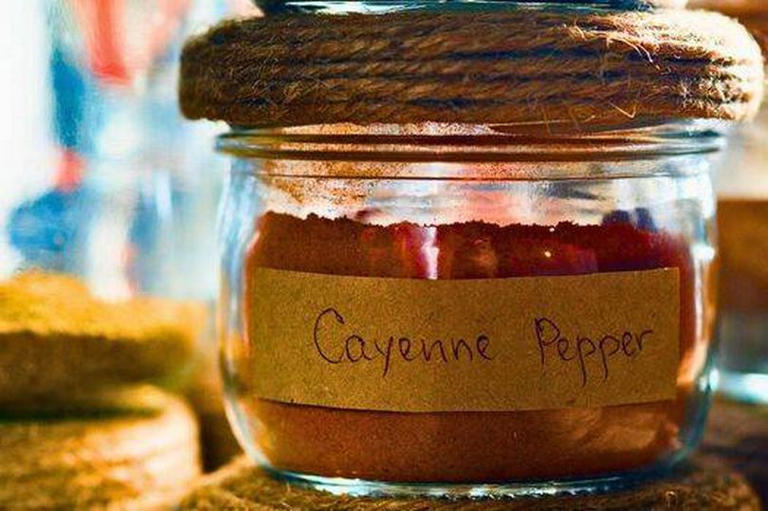 Simple kitchen hack using basic ingredient can keep flies out of your home