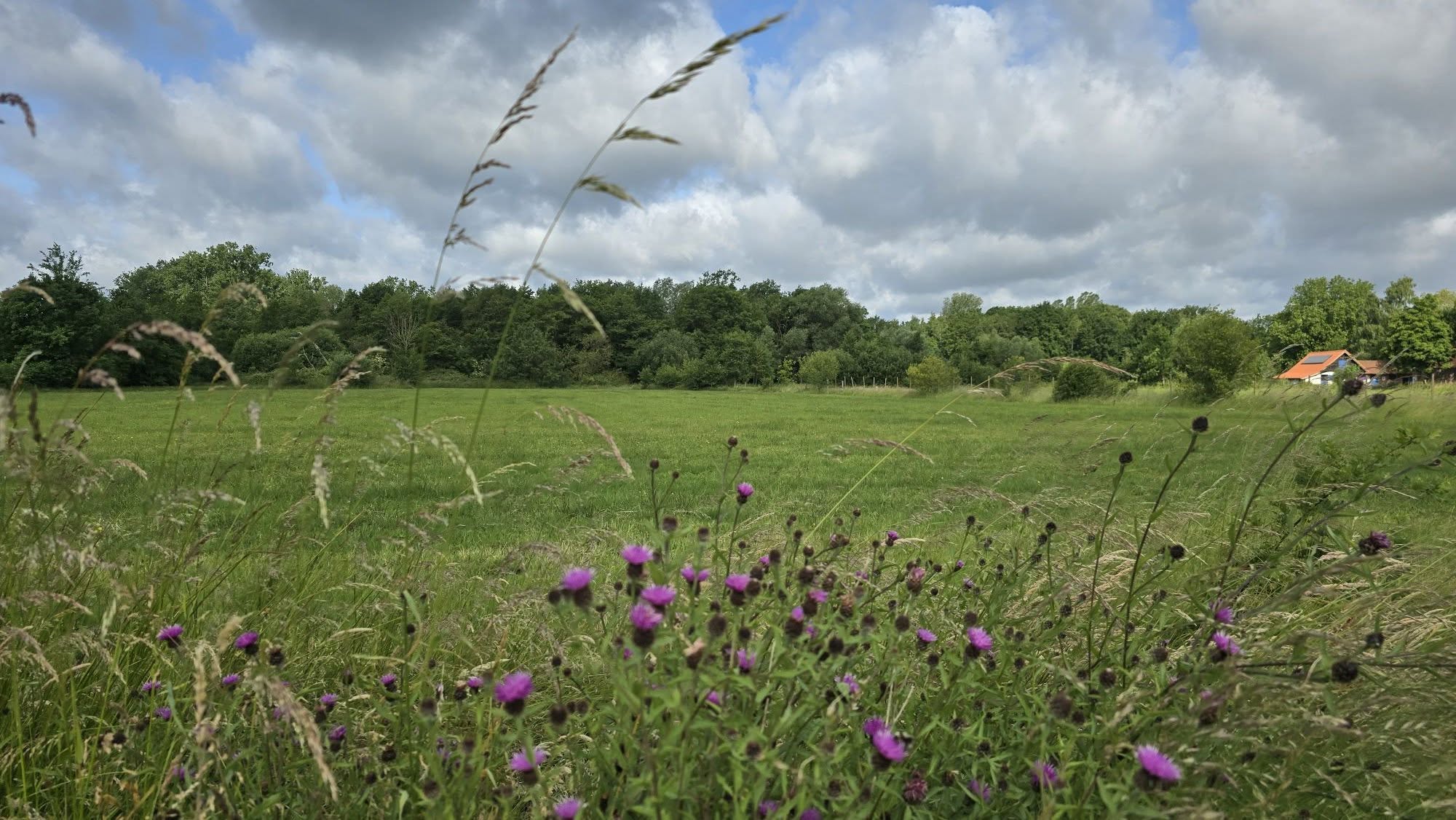 Weerman Samuel: "Dan halen we tot 30°C"