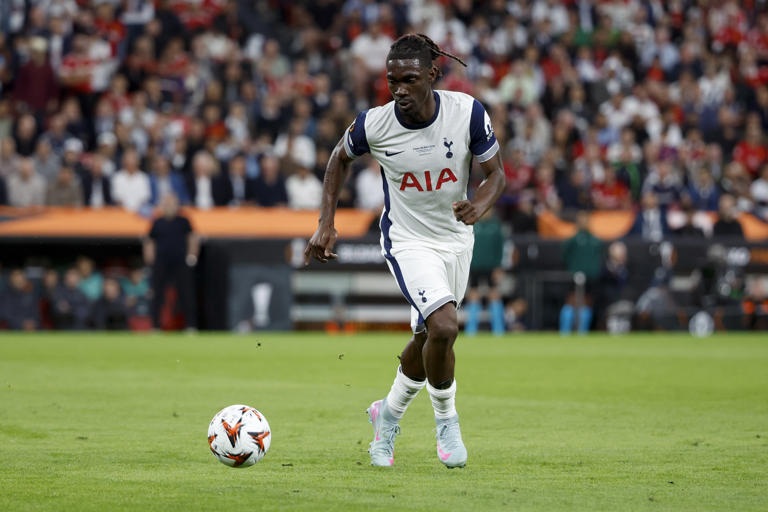 Tottenham duo offered to Turkish giants as summer transfer window ...