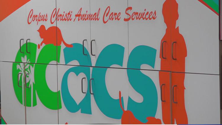 Millions in funding shift could be a game changer for Corpus Christi Animal Care Services